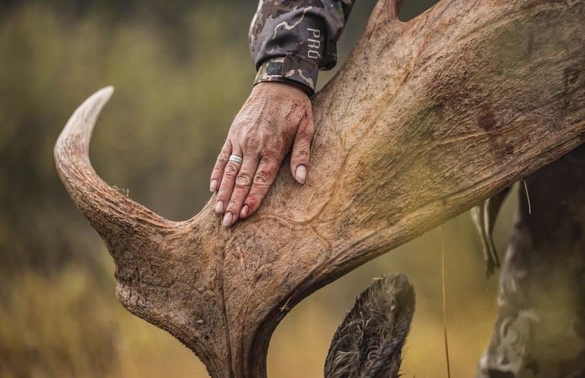 Harvest With A Grateful Heart – Prois Hunting