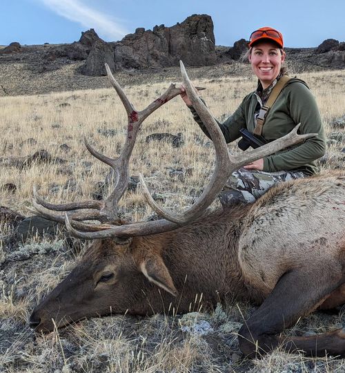 Wyoming Bull Down! – Prois Hunting