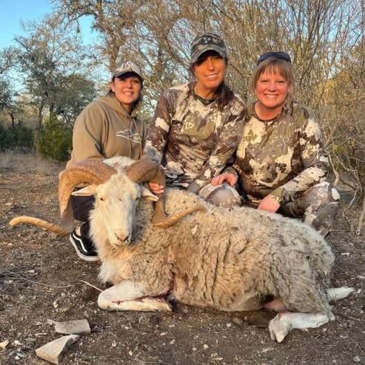 Prois + SheHunts = Sweet Success! – Prois Hunting